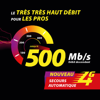 Professionnels | Vini