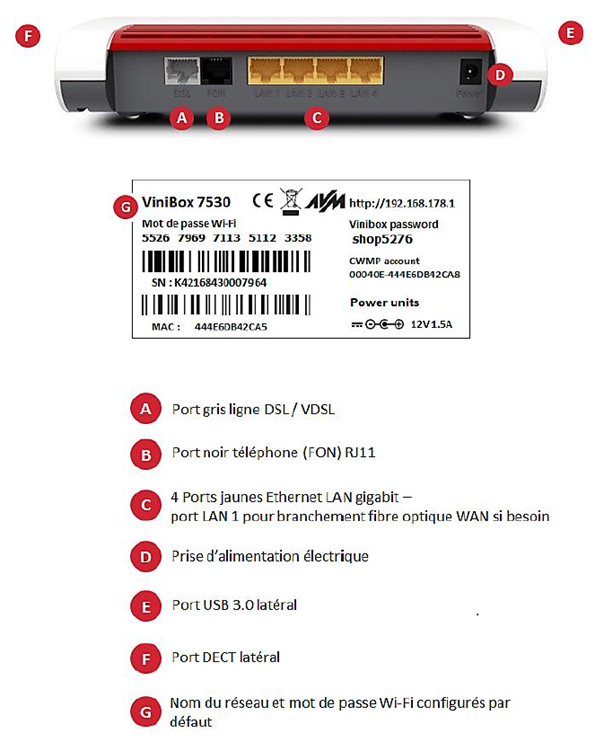 Branchement et connectique | Vini