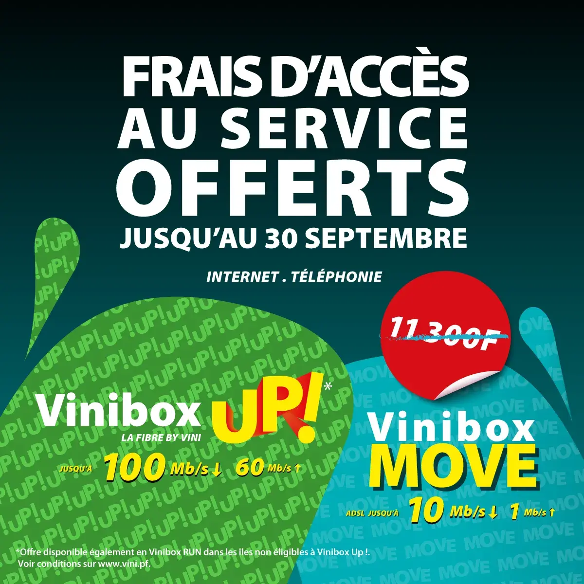Vinibox UP | Vini
