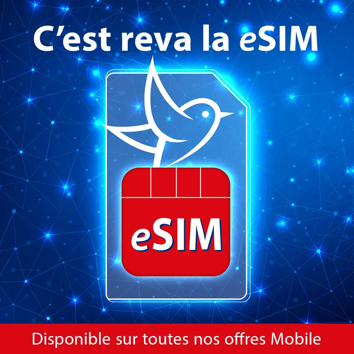 eSIM | Vini